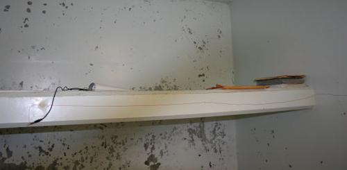 Amnesty International Releases Report Condemning California Prison ...