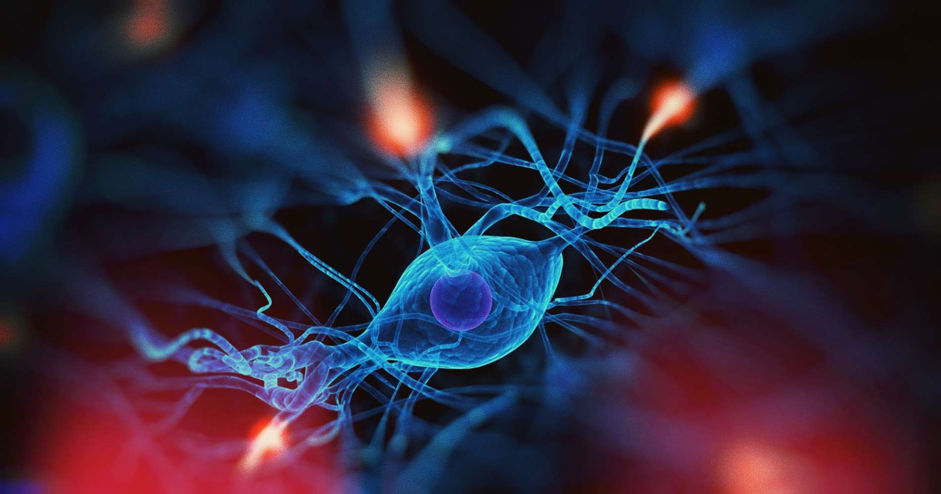 "Isolation Devastates the Brain": The Neuroscience of Solitary ...