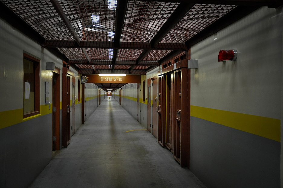 Voices from Solitary: Message from a Solitary Confinement Survivor for ...